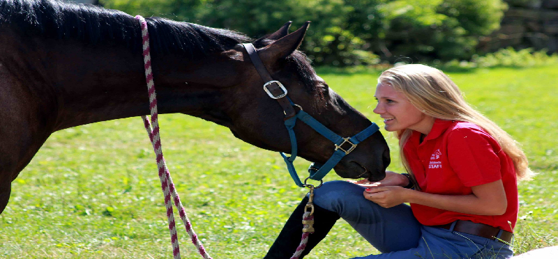 Pony Farm Summer Camp | Find a Camp