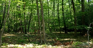 Camp Chase YMCA | Find a Camp