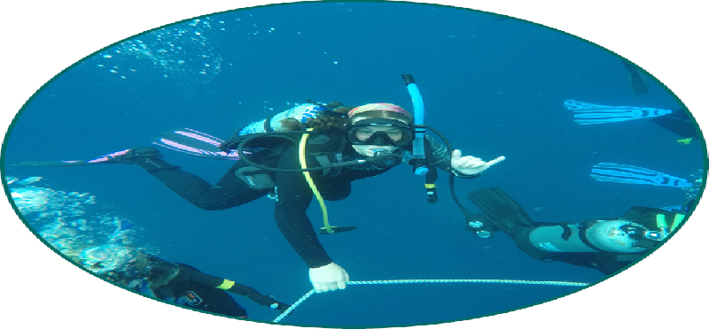 UNCW MarineQuest | Find a Camp