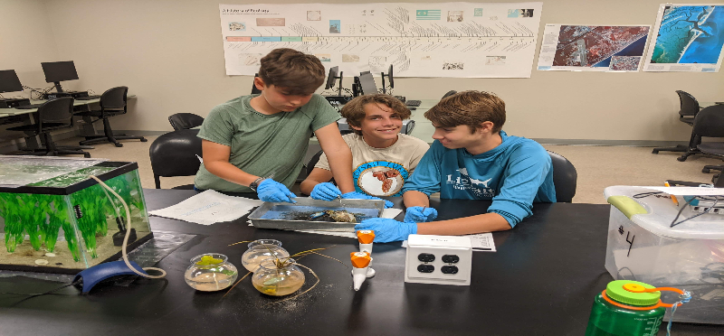 UNCW MarineQuest | Find a Camp