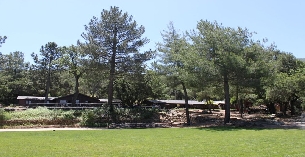 Circle V Ranch | Find a Camp