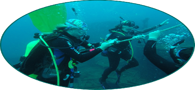 UNCW MarineQuest | Find a Camp