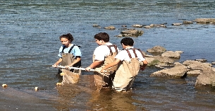 Oasis in Dobbs Ferry @ Mercy College | Find a Camp