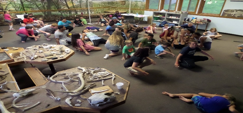 Wildwood Outdoor Education Center | Find a Camp