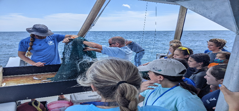 UNCW MarineQuest | Find a Camp