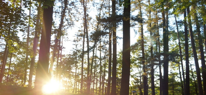 Central Wisconsin Environmental Station | Find a Camp
