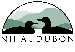 New Hampshire Audubon | Find a Camp